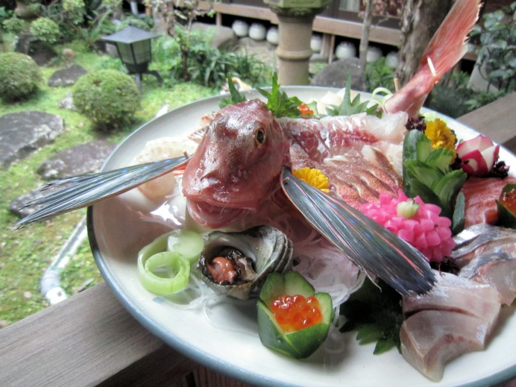 Bluefin searobin, gurnard ! whole fish sashimi | 奈良の宿大正楼