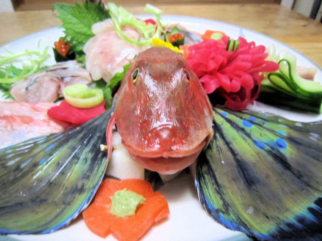 胸びれを広げるホウボウ！姿造りの盛付け方 | 奈良の宿大正楼